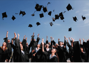 Study in Finland for Free | Vamia College 2025 Admissions - Tensor ...